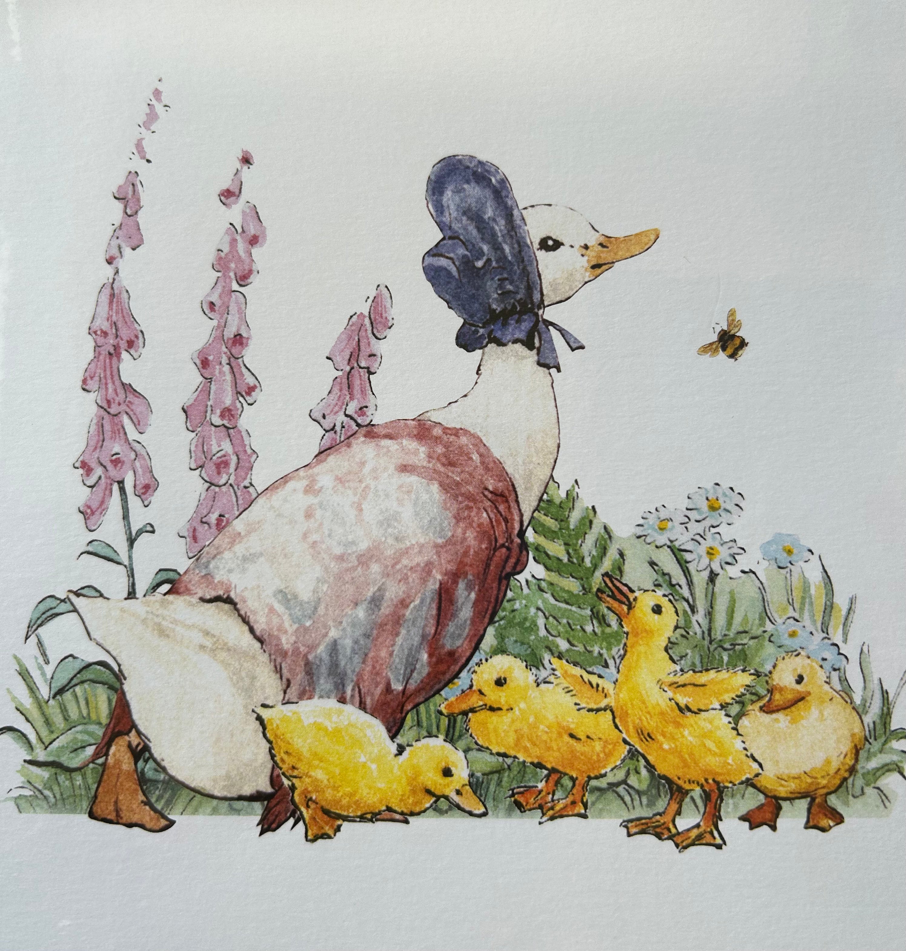 Gift Card | Beatrix Potter | Goose & Chicks – Addenbrooke