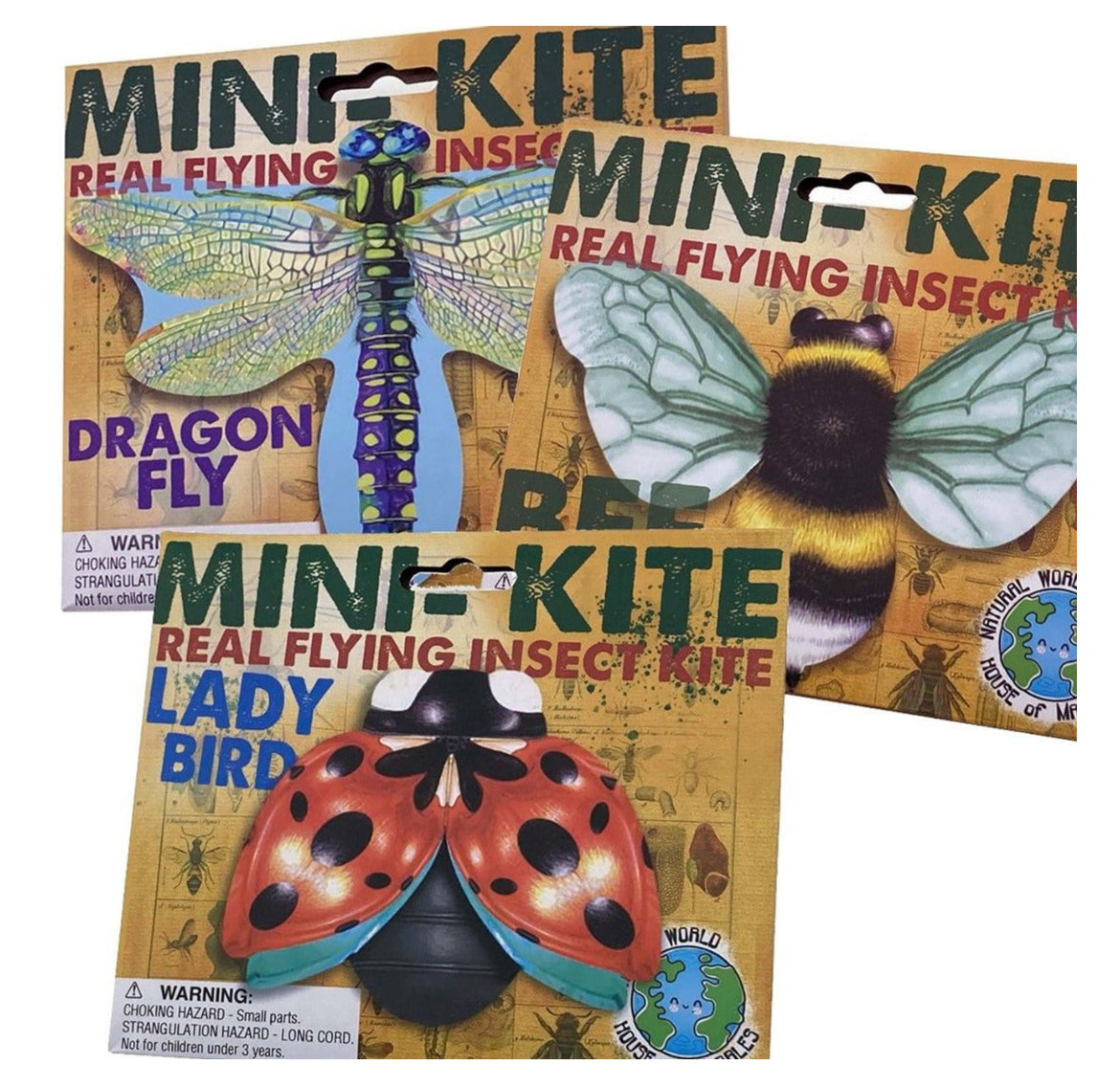 Mini Insect Flying Kite – Addenbrooke