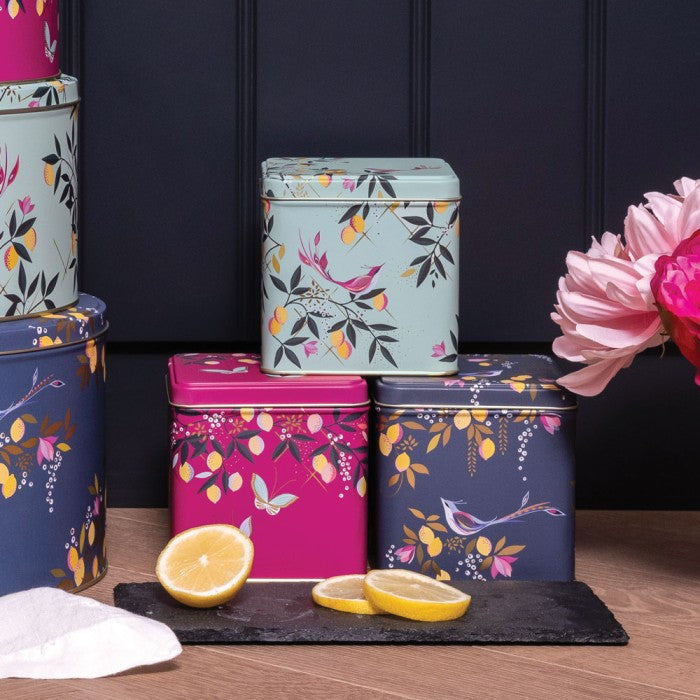 Sara Miller | Square Caddies | Set of 3 – Addenbrooke