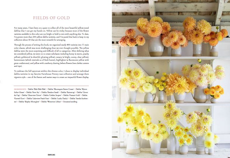 Floret Farm's Discovering Dahlias | Erin Benzakein – Addenbrooke