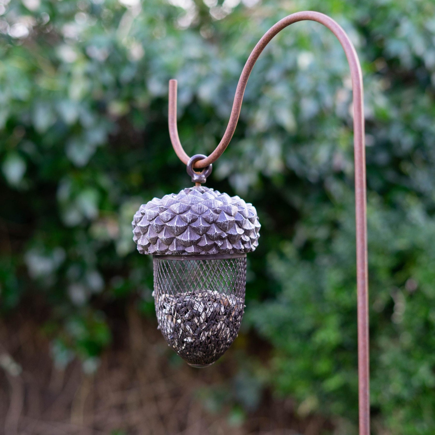 Acorn Bird Feeder – Addenbrooke