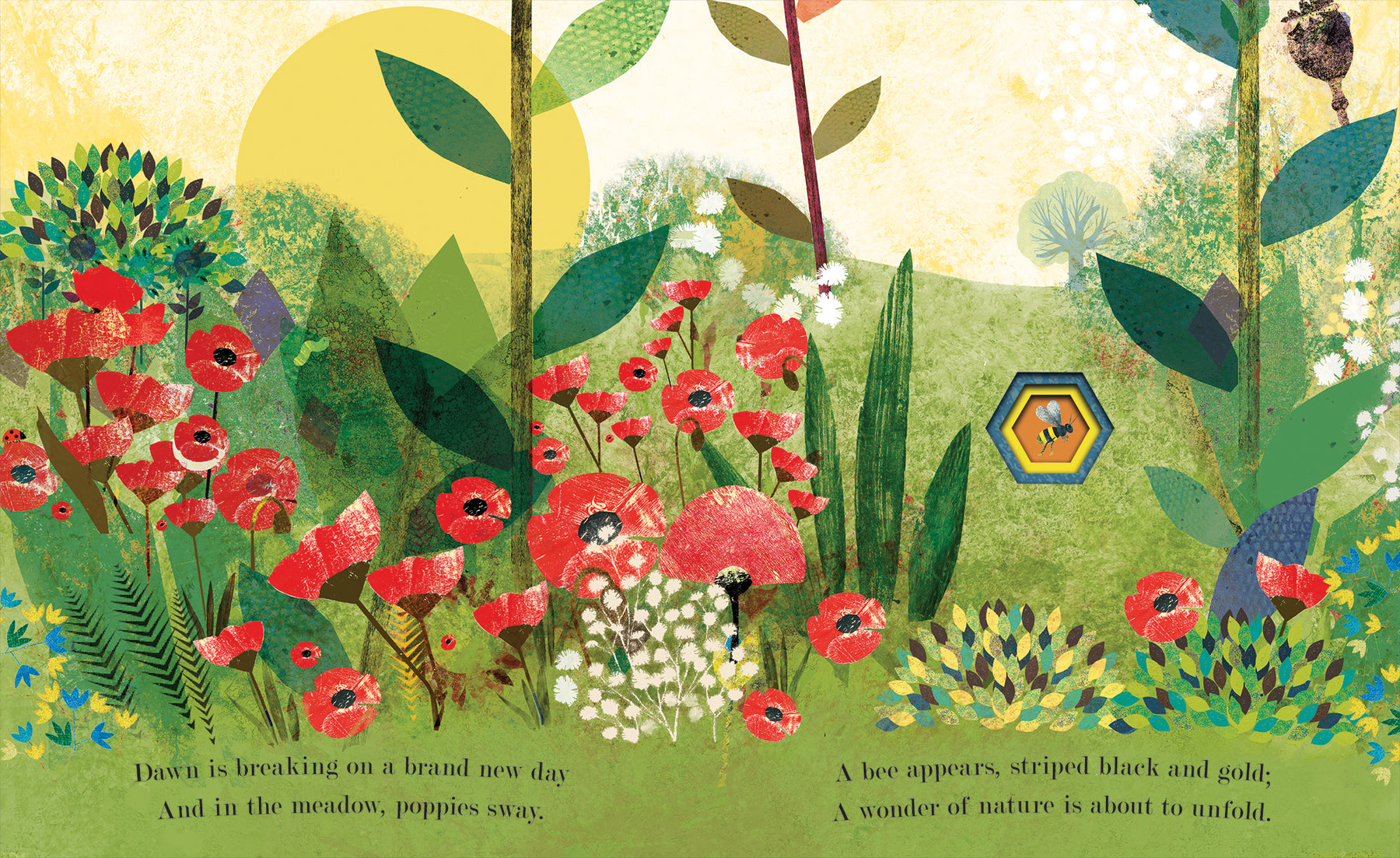 Bee :: Natures Tiny Miracle | Patricia Hegarty | Britta Teckentrup ...