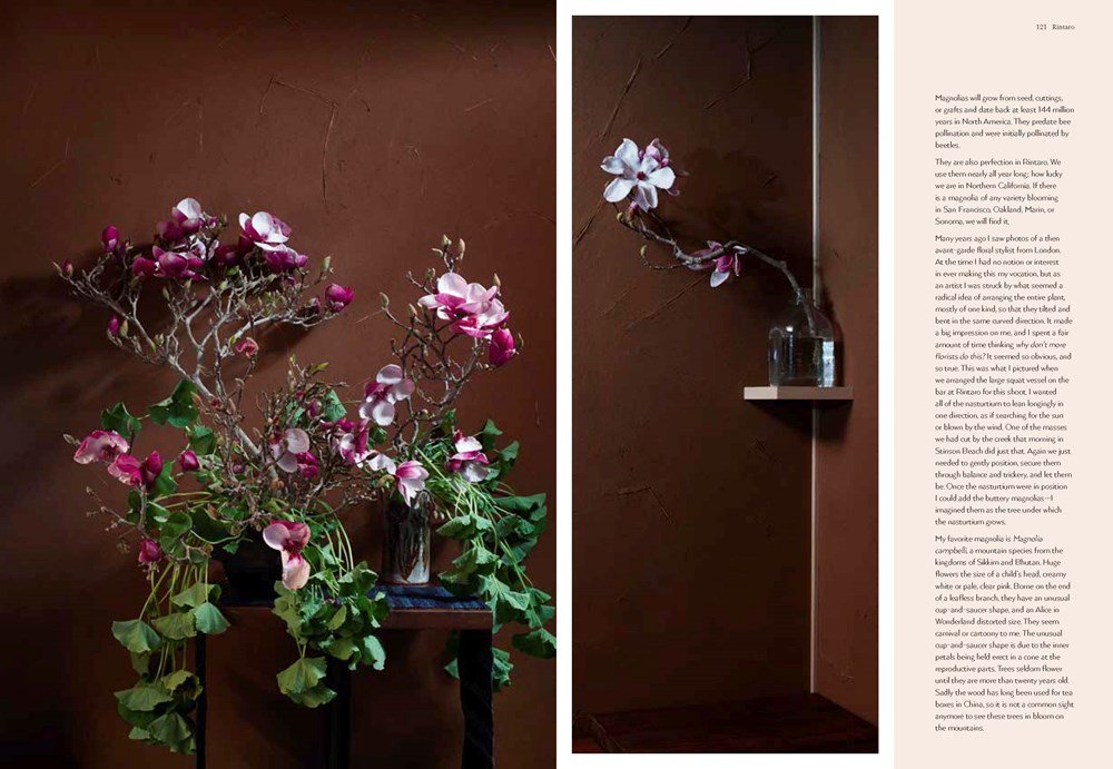 Foraged Flora | Louesa Roebuck & Sarah Lonsdale – Addenbrooke