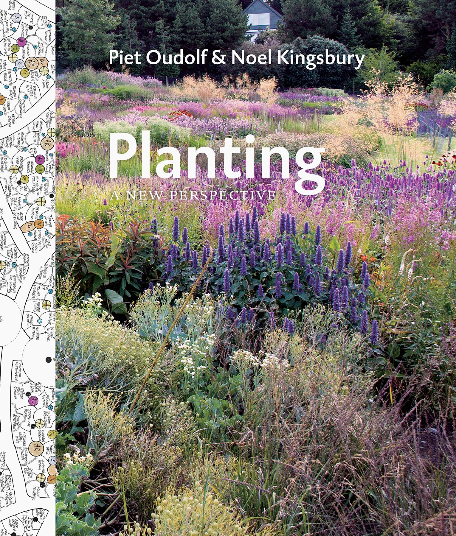 Planting | A New Perspective | Piet Oudolf & Noel Kingsbury – Addenbrooke